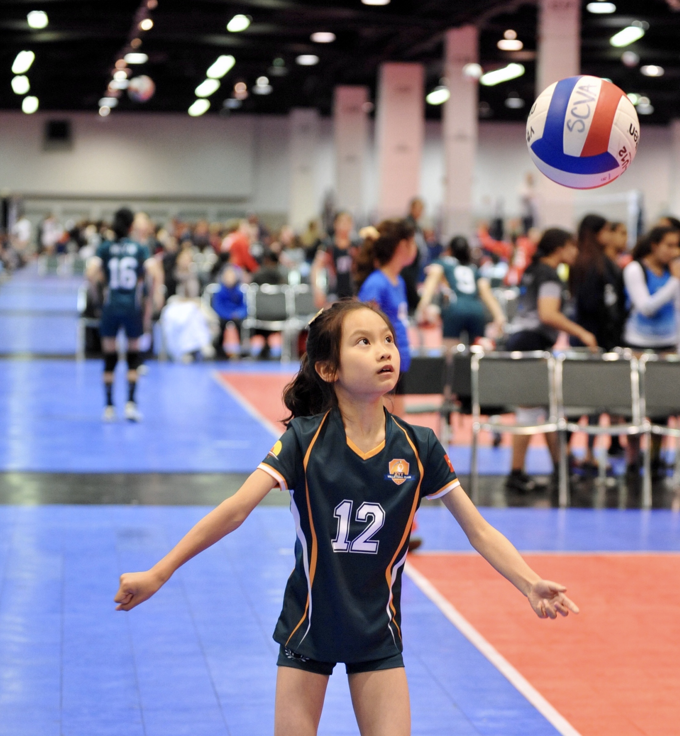 Selene Xu (selenexu) profile | Padlet