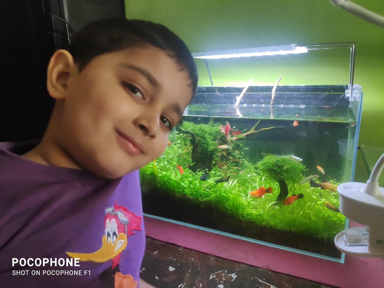 Aiden Arun 1Z (514821) profile | Padlet