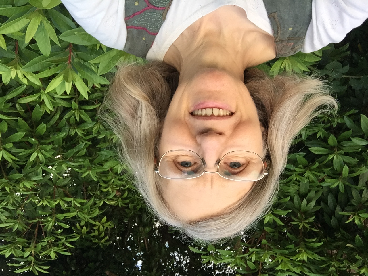 anne humphreys (annebfc) profile | Padlet