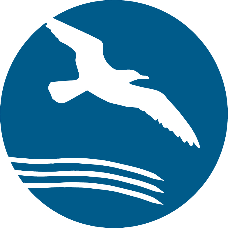 BCCC Library (BCCCLibrarians) profile | Padlet