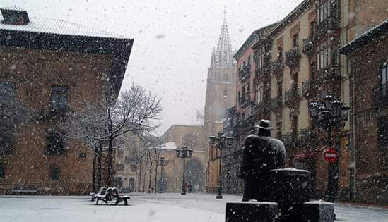 Cira Fernández Sánchez (ciramfs) profile | Padlet