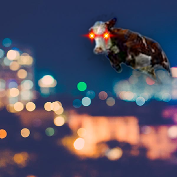 Rylee Becker (RyleeBecker) profile | Padlet