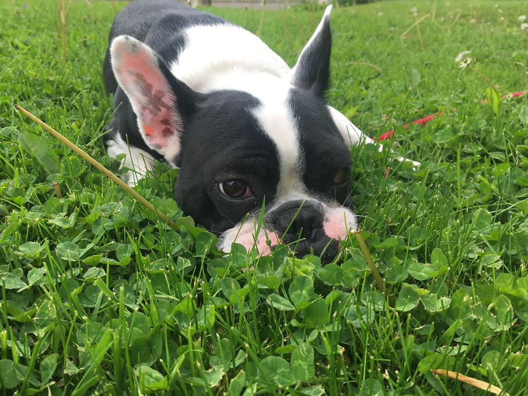 Beth Hoag (anthroehoag) profile | Padlet