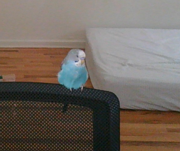 Ashaz Syed (3021015) profile | Padlet