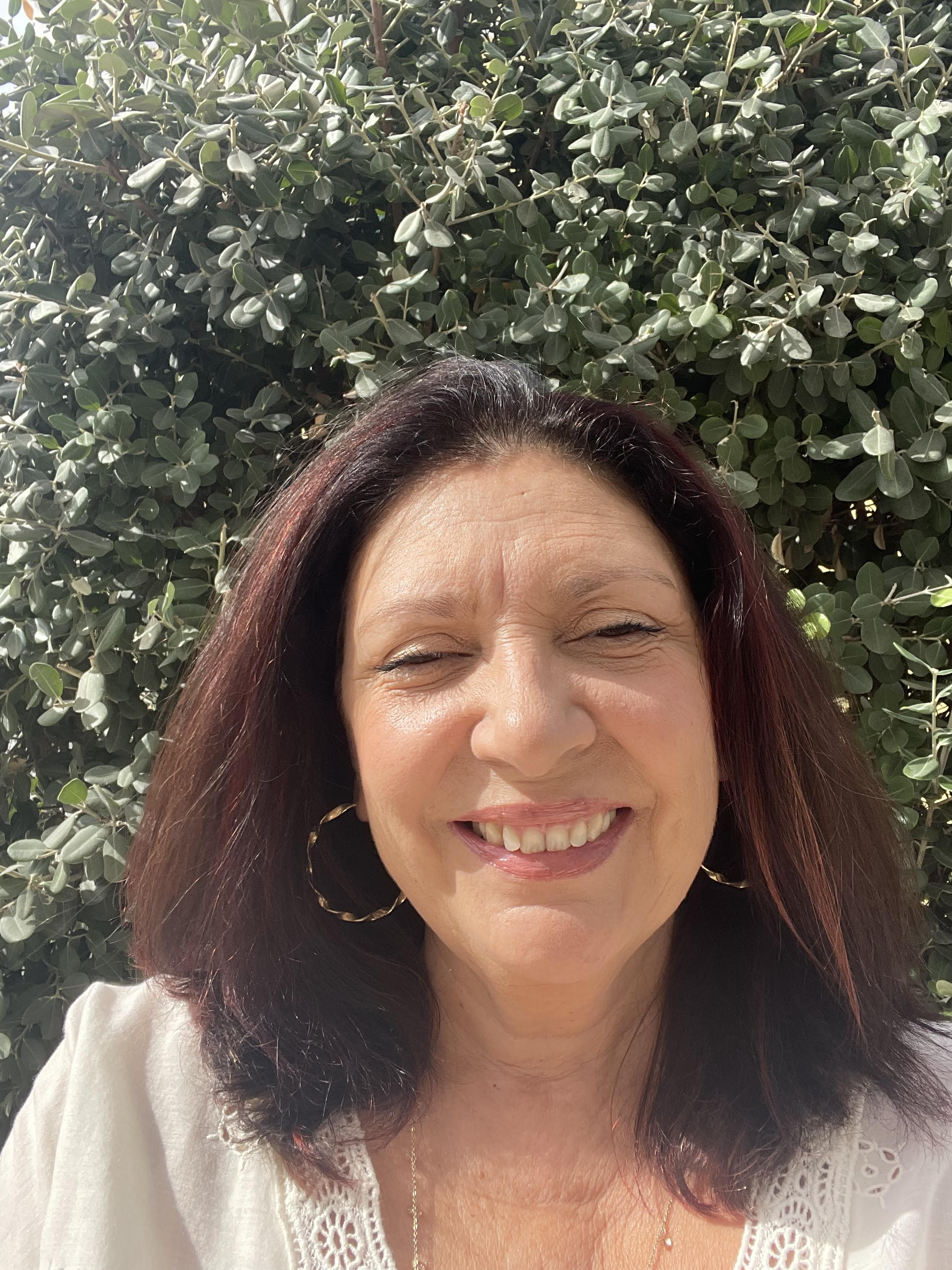 Luísa Marques (profluisamarques) profile | Padlet