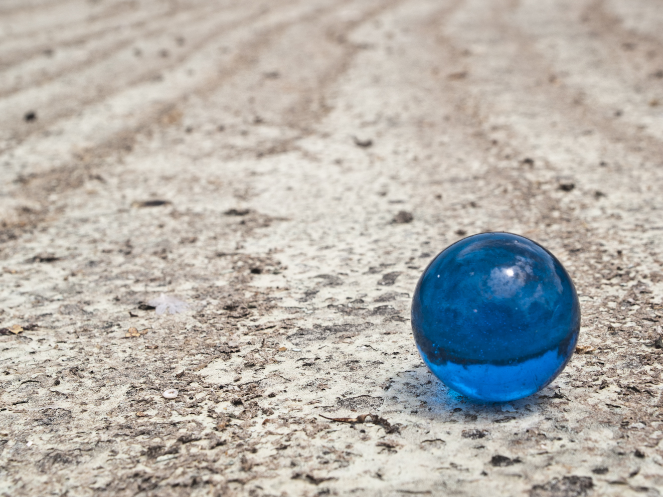 Francesca Berti (francescaberti) profile | Padlet