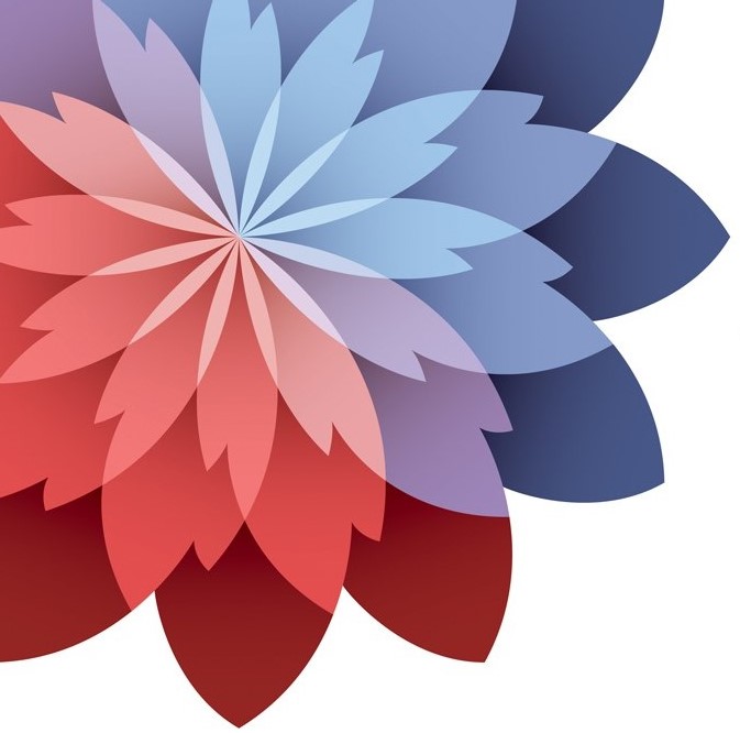 WS Training (WStraining) profile | Padlet