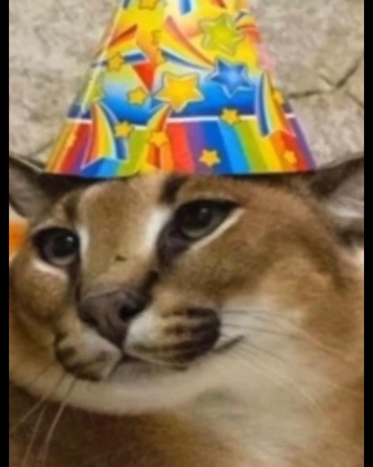 𝐹𝐿𝑂𝑃𝑃𝐴 (boyardthibault0) profile | Padlet