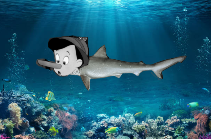 Blake Cook (blakecook) profile | Padlet