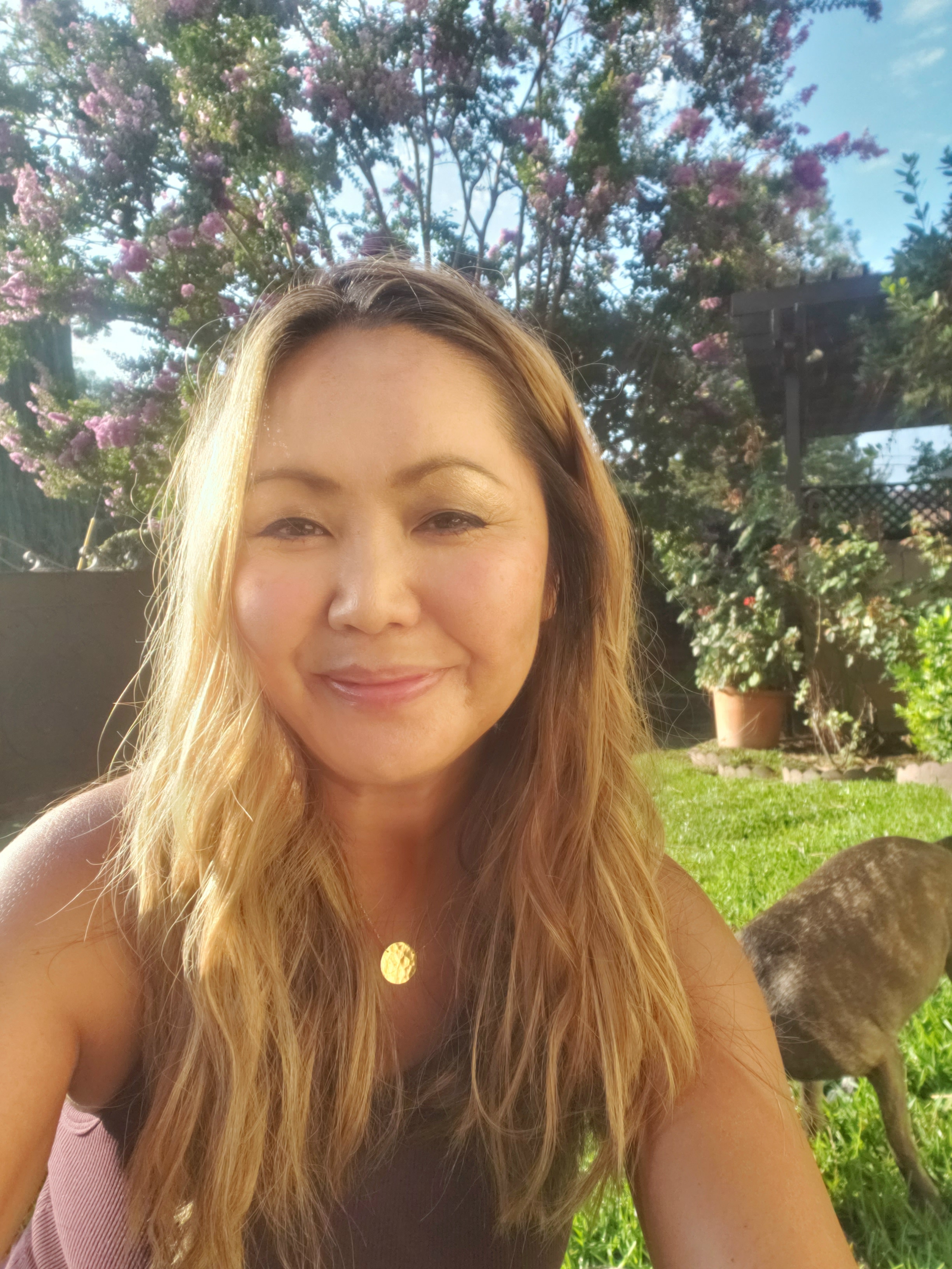 Connie Mimura (cmimura) profile | Padlet