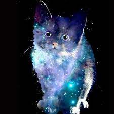 Cosmic_Kitty (Cosmic_Kitty) profile | Padlet