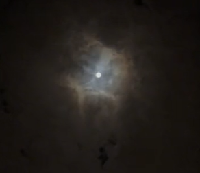 AZXCVY (s718679) profile | Padlet