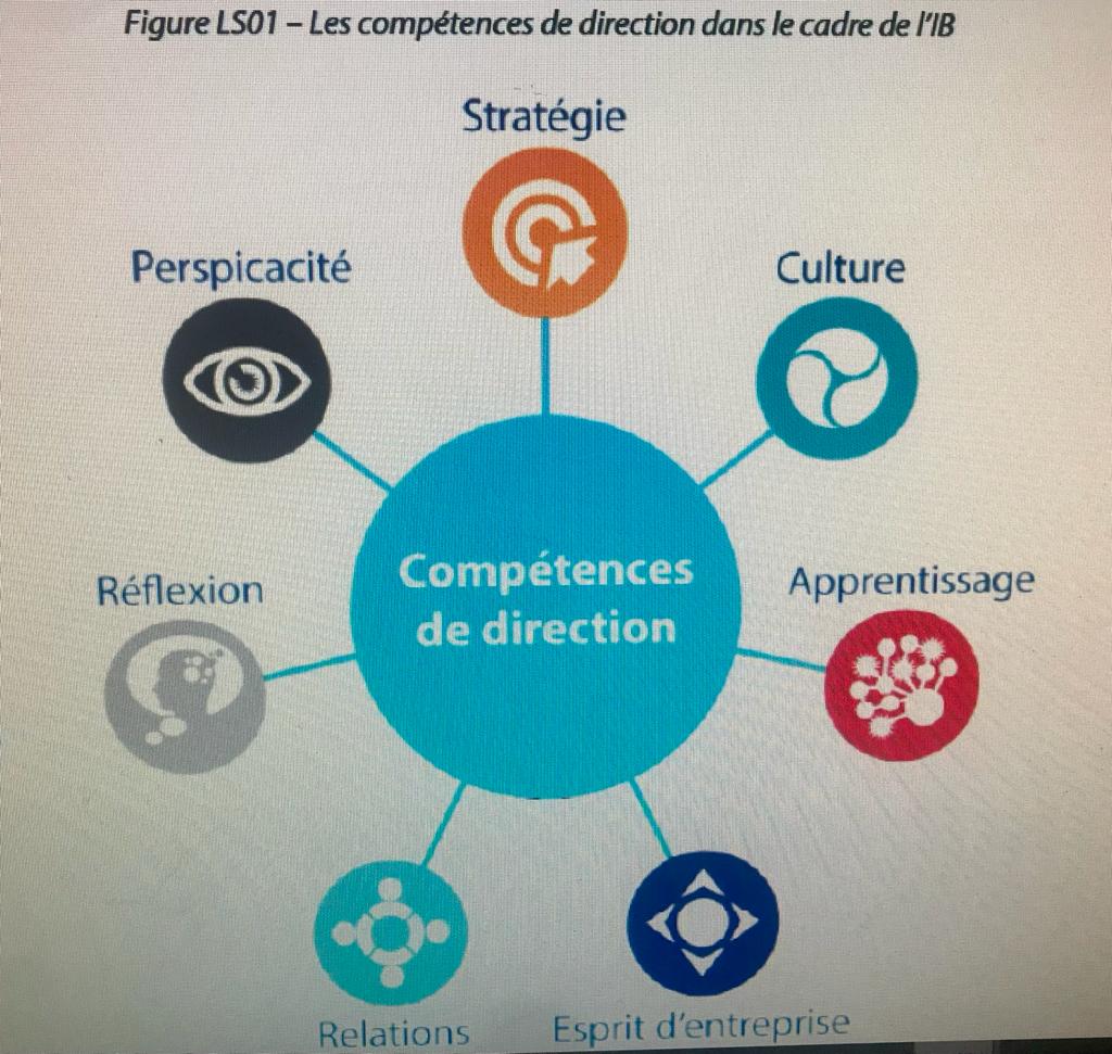 DOCUMENTING TEACHER LEADERSHIP - DOCUMENTER LES COMPÉTENCES DE ...