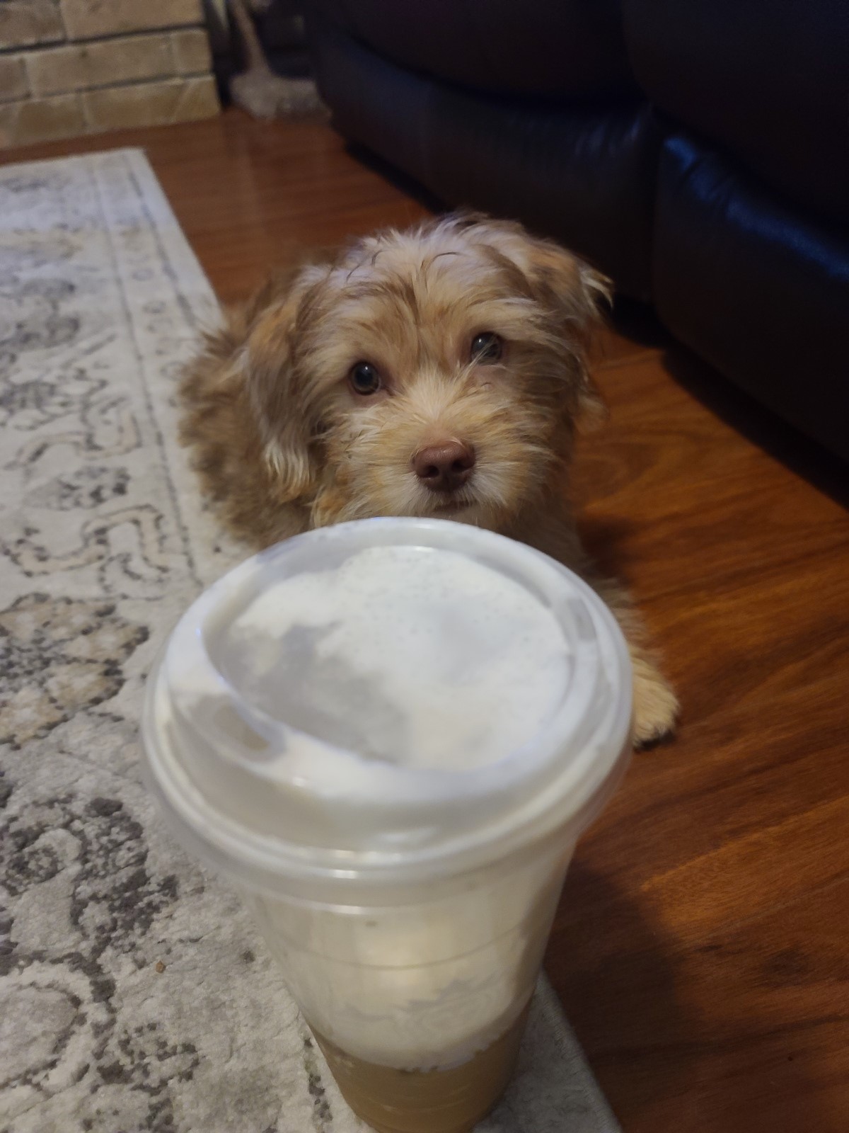 Marsha Beckwith-Howard (mbeckwithhoward) profile | Padlet