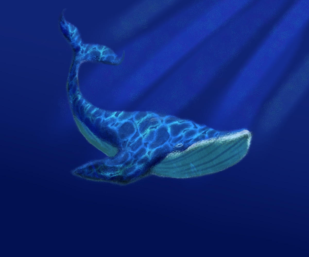 Marine Science Club (thecybermarinescienceclub) profile | Padlet