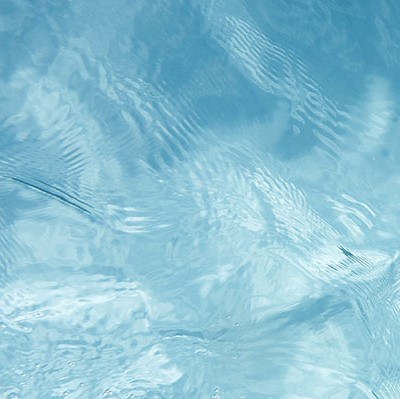 lmetcalfe13 profile | Padlet