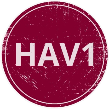 HAV1 (hav1plastica) profile | Padlet