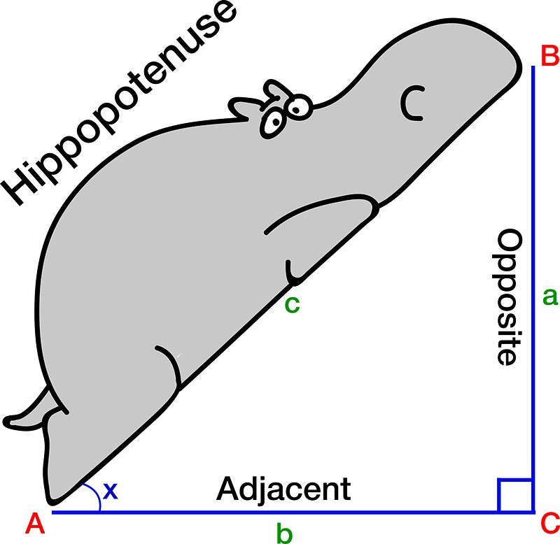 Devan Edgerton (devan_edgerton) profile | Padlet