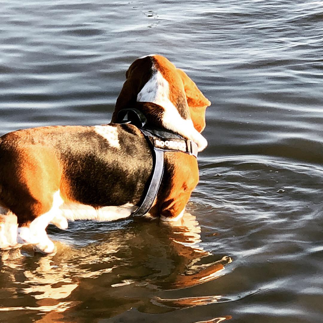 Veronica Mann (veronica46) profile | Padlet