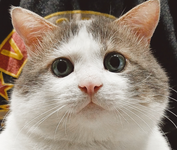 Jules (juliana_sali) profile | Padlet