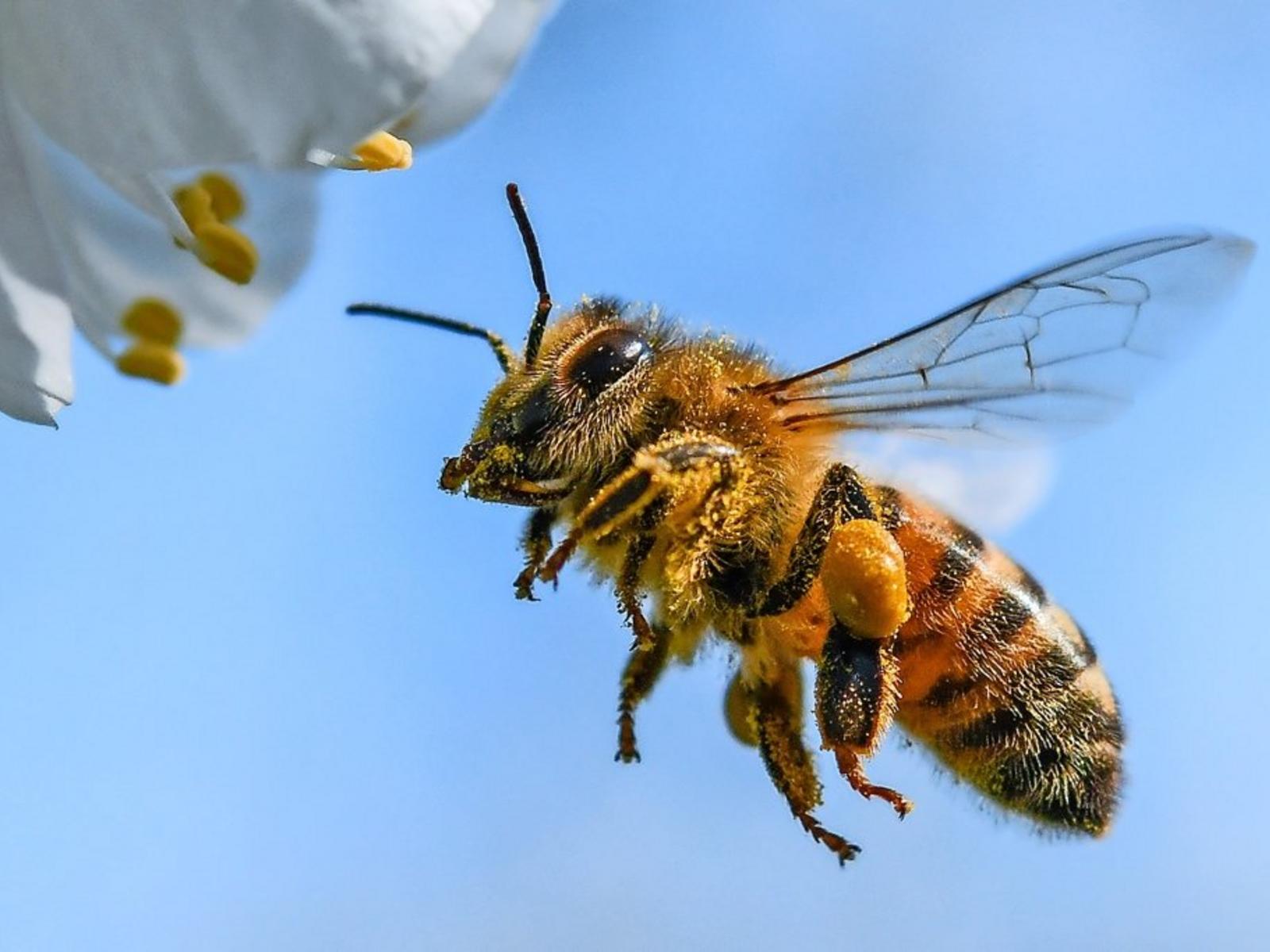 mrs_bosdorf profile | Padlet