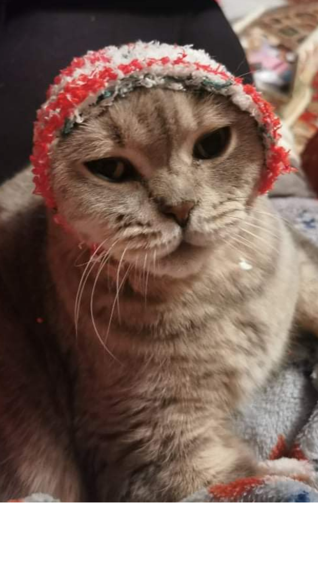 Sarah (sarahlilytaylor1979) profile | Padlet