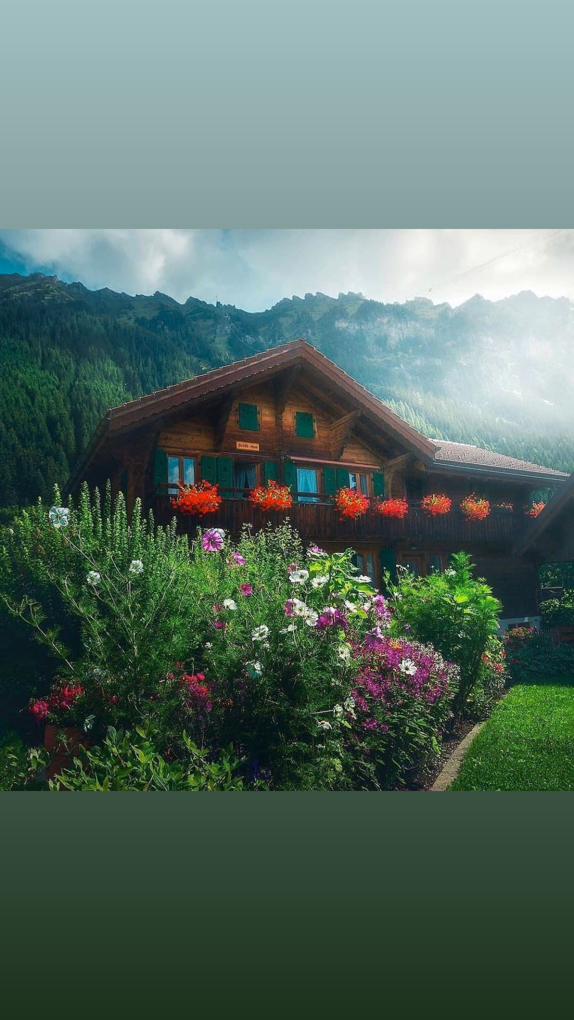 Meme (mesmiss1427) profile | Padlet