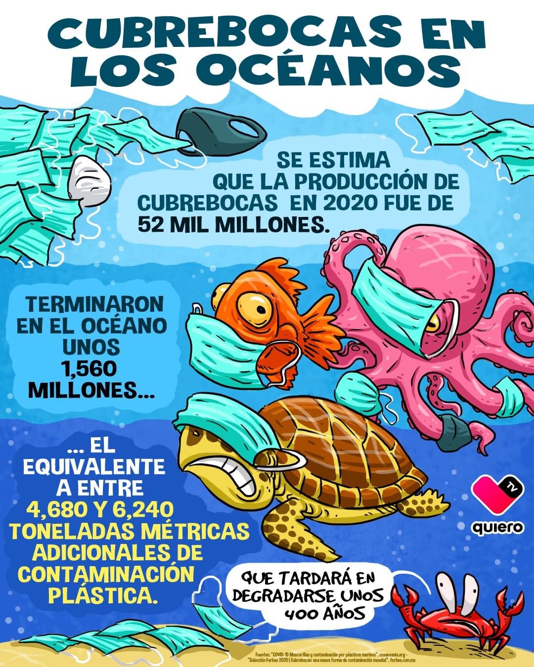 SARA POVEDA (Sarapovedab) profile | Padlet